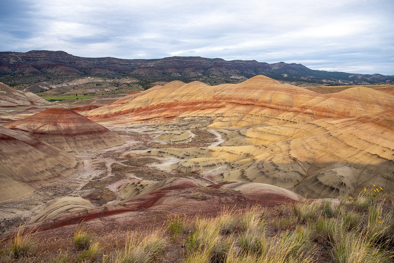 Painted Hills | Artistic Portland Gallery